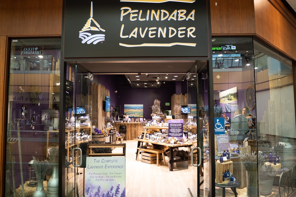 Love & Happiness at the Pelindaba Lavender Party - Dallas Weekly